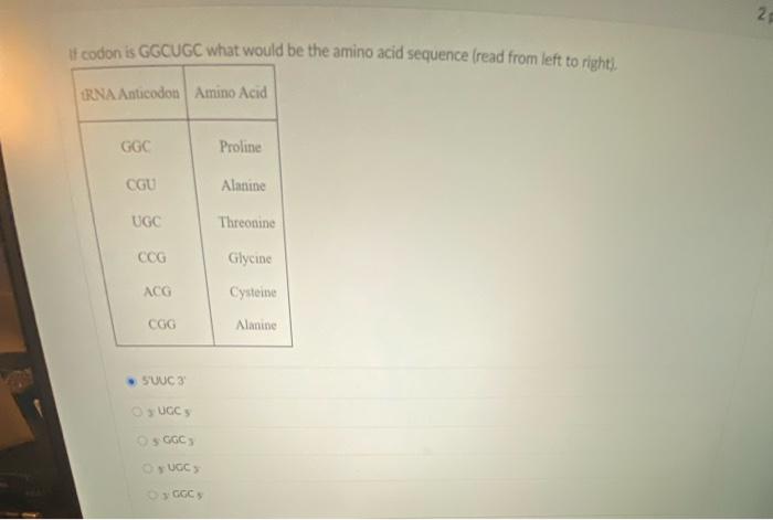 Solved 25 it codon is GGCUGC what would be the amino acid | Chegg.com
