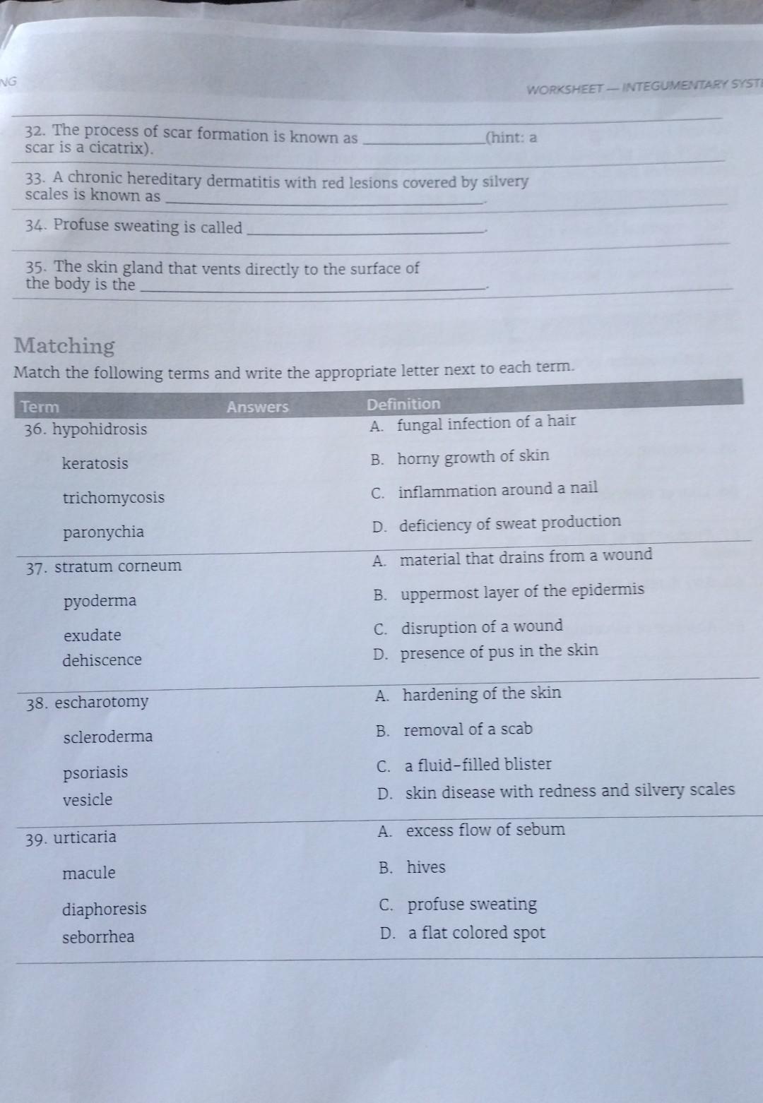 Solved 11/22 Worksheet Integumentary System True or False | Chegg.com