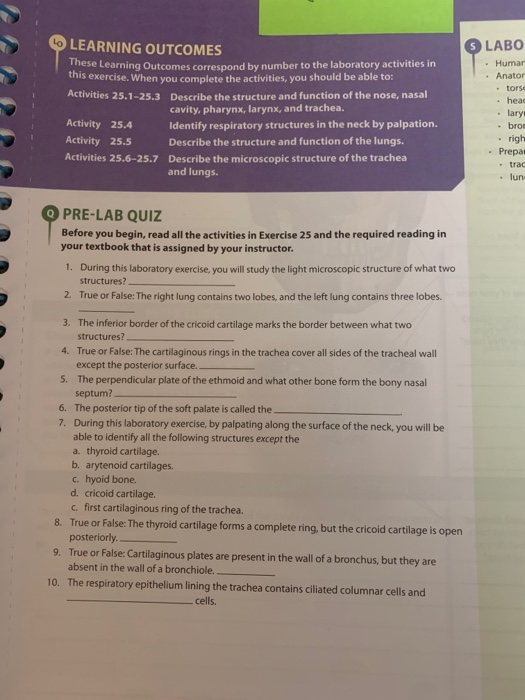 Solved LEARNING OUTCOMES These Learning Outcomes correspond | Chegg.com