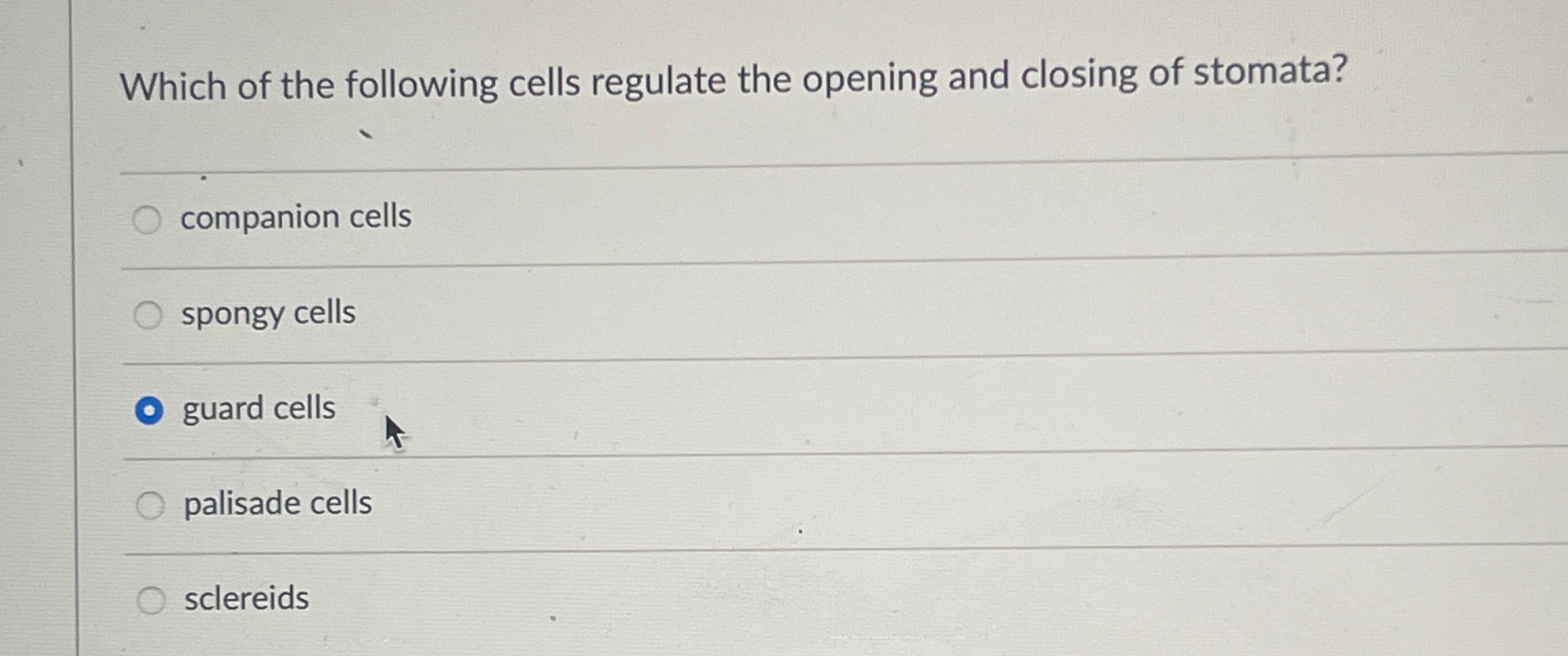Solved Which of the following cells regulate the opening and | Chegg.com