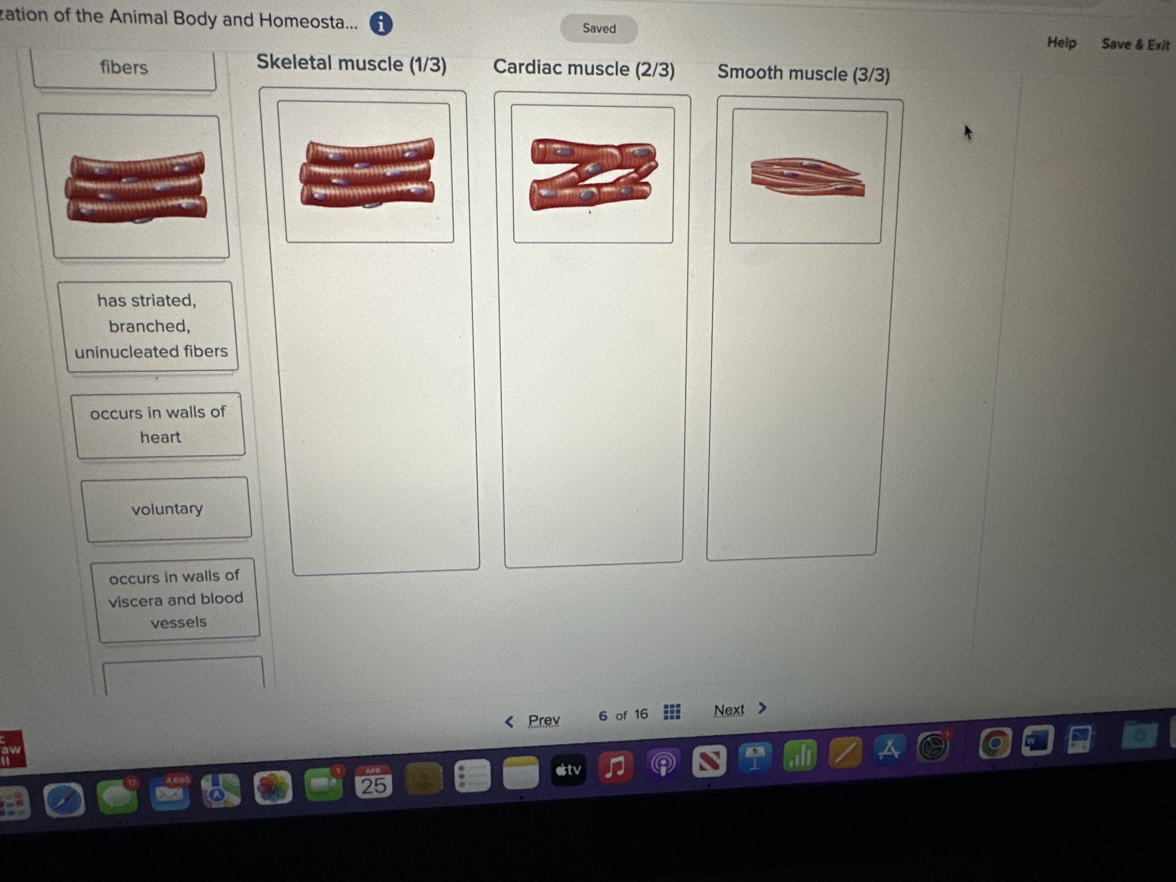 Solved Lation of the Animal Body and | Chegg.com
