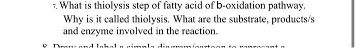 Solved 7. What is thiolysis step of fatty acid of | Chegg.com