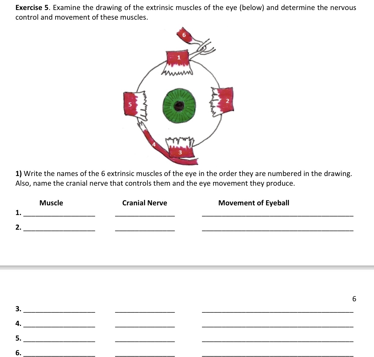Solved Exercise 5. ﻿Examine the drawing of the extrinsic | Chegg.com