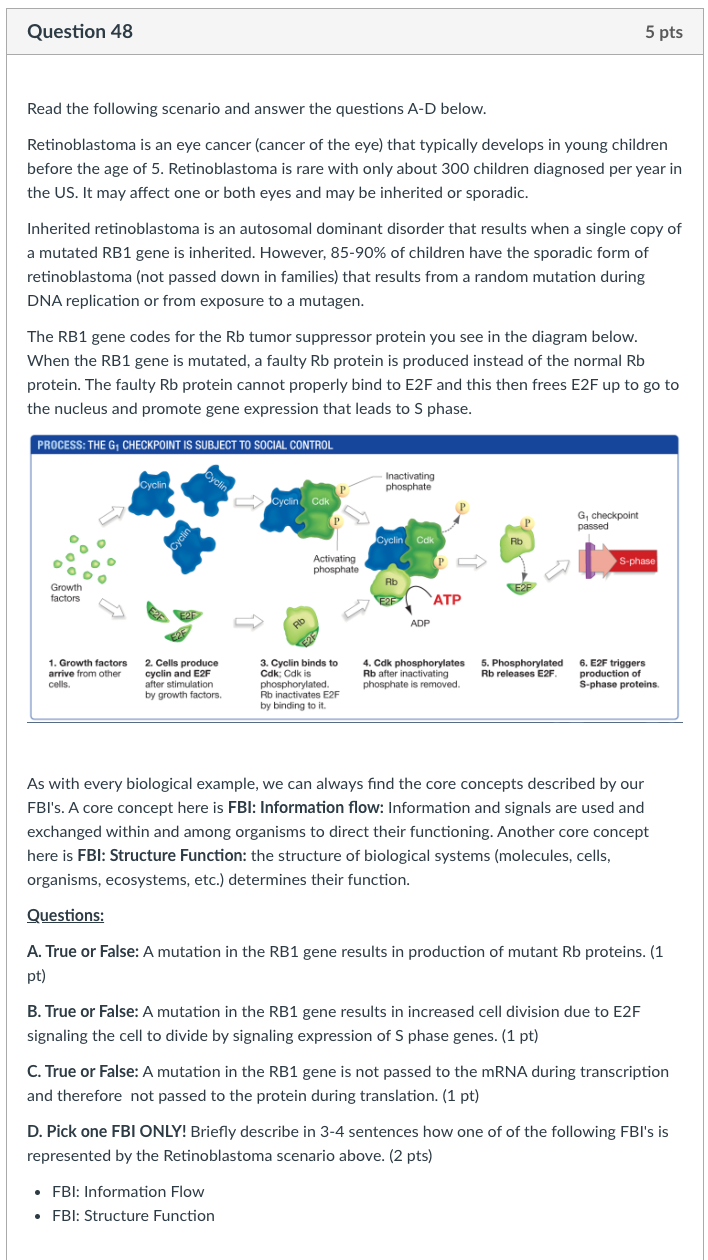 Solved Read the following scenario and answer the questions | Chegg.com