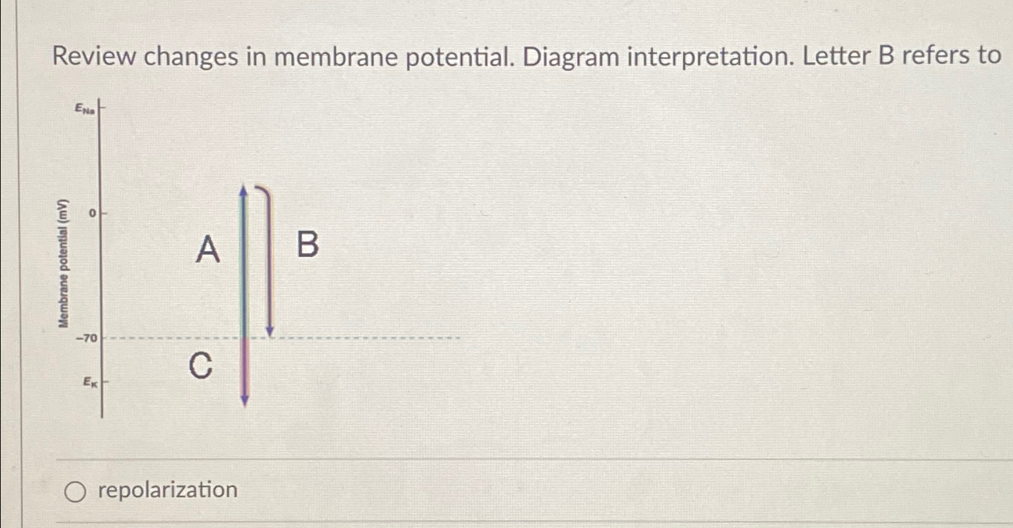 Solved Review changes in membrane potential. Diagram | Chegg.com
