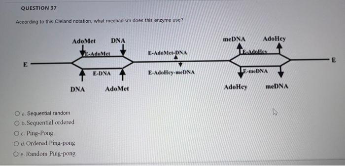 Solved QUESTION 37 According to this Cleland notation, what | Chegg.com
