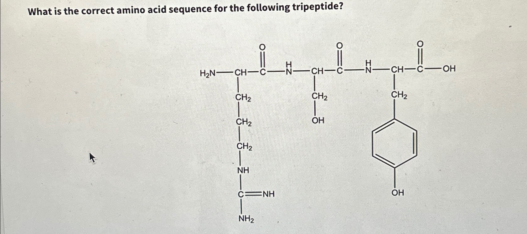 Solved What is the correct amino acid sequence for the | Chegg.com