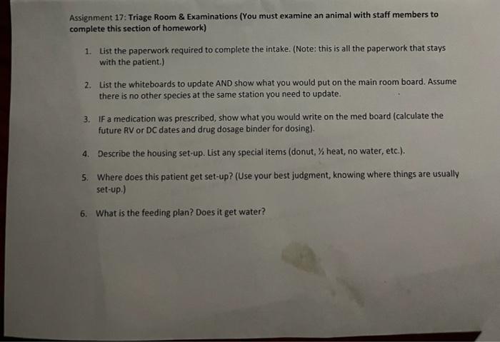 Solved Assignment 17: Triage Room \\& Examinations (You must | Chegg.com