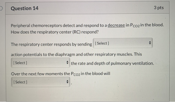 Solved Question 14 3 pts Peripheral chemoreceptors detect | Chegg.com