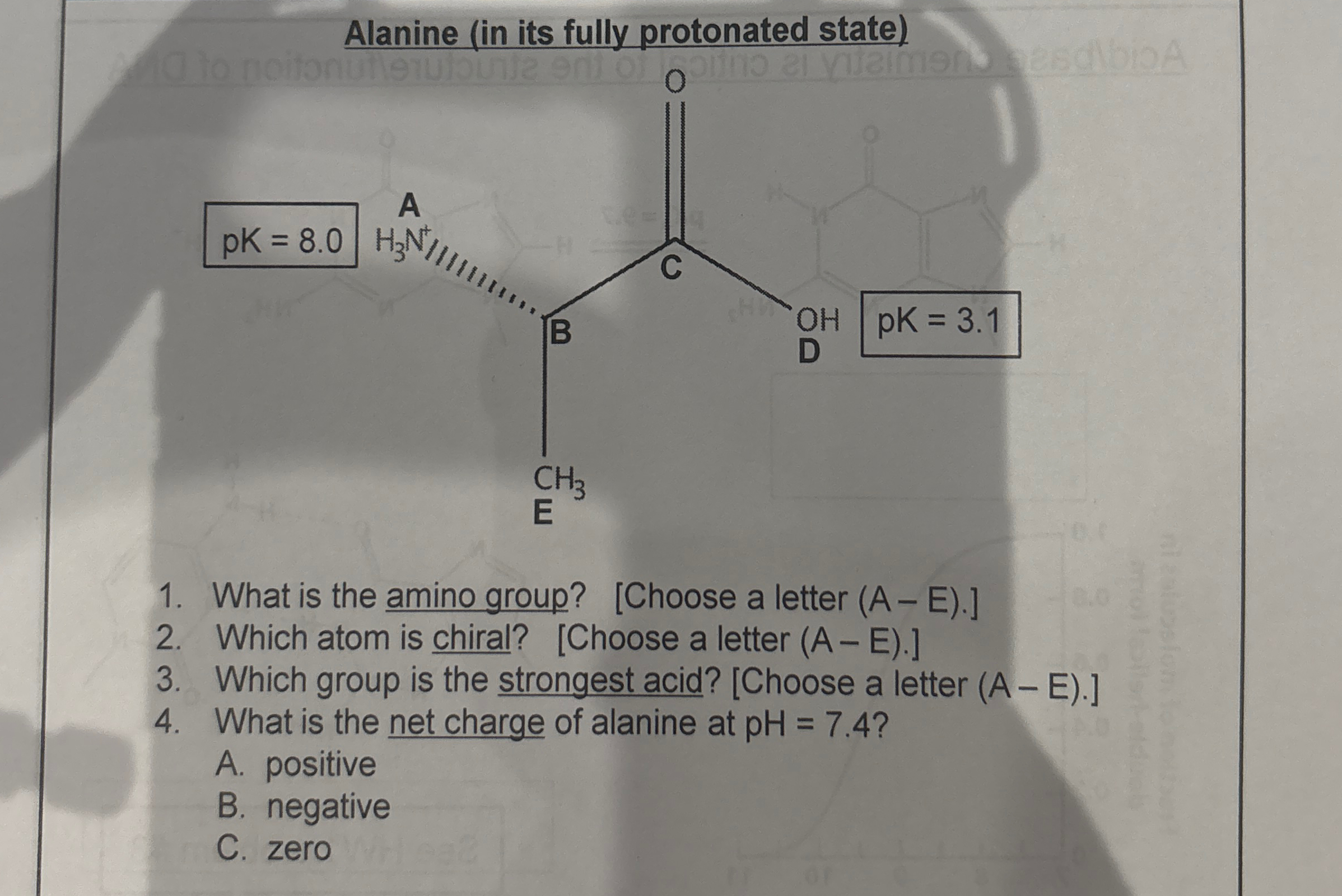 Solved Alanine (in its fully protonated state)What is the | Chegg.com