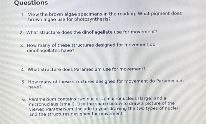 Protista and Fungi Lab Learning Objectives - Be able | Chegg.com