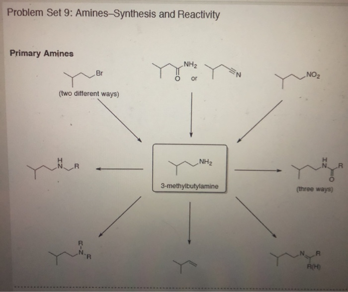 Solved Problem Set 9: Amines-Synthesis and Reactivity | Chegg.com