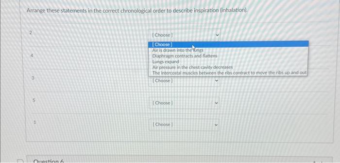 Solved Arrange these statements in the correct chronological | Chegg.com