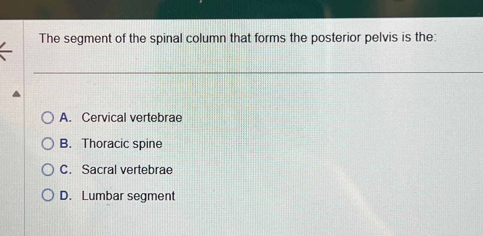 Solved The segment of the spinal column that forms the | Chegg.com