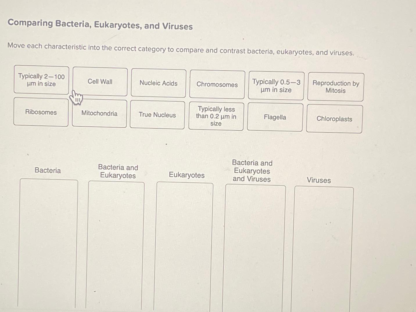 Solved Comparing Bacteria, Eukaryotes, and VirusesMove each | Chegg.com