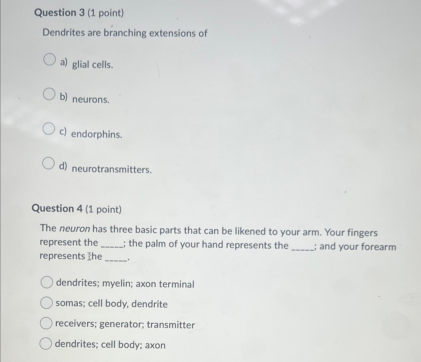 Solved Question 3 (1 ﻿point)Dendrites are branching | Chegg.com