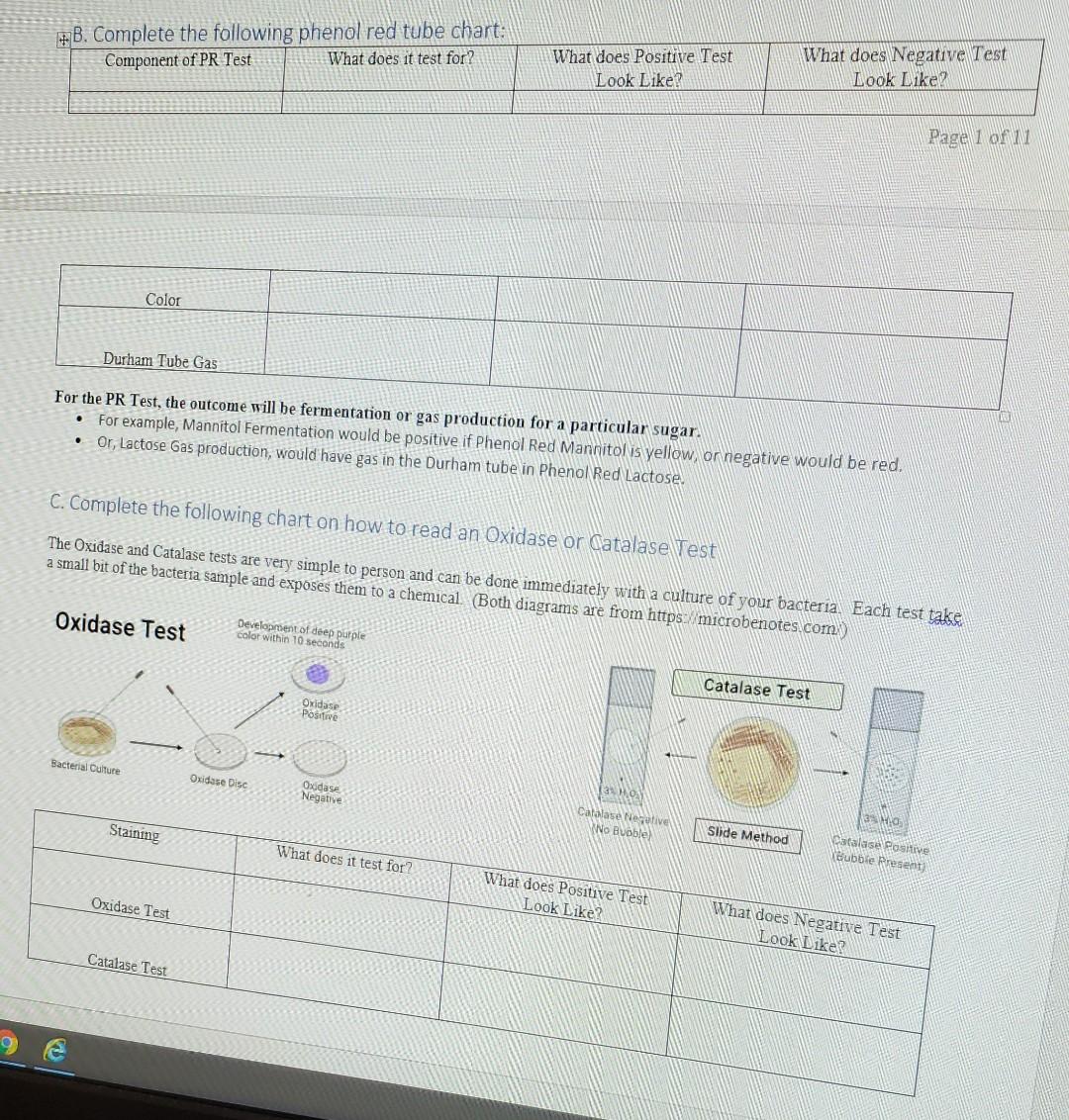 Solved B. Complete the following phenol red tube chart: | Chegg.com