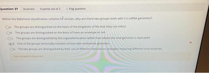 Solved Within the Baltimore classification scheme foI | Chegg.com