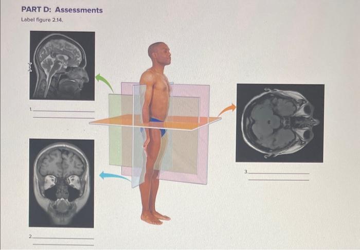 Solved PART D: Assessments Label figure 2.14. | Chegg.com Solved PART D: Assessments Label figure 2.14. | Chegg.com