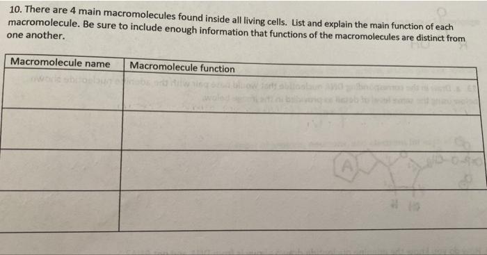 Solved 10. There are 4 main macromolecules found inside all | Chegg.com