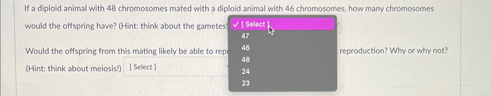 Solved If a diploid animal with 48 ﻿chromosomes mated with a | Chegg.com