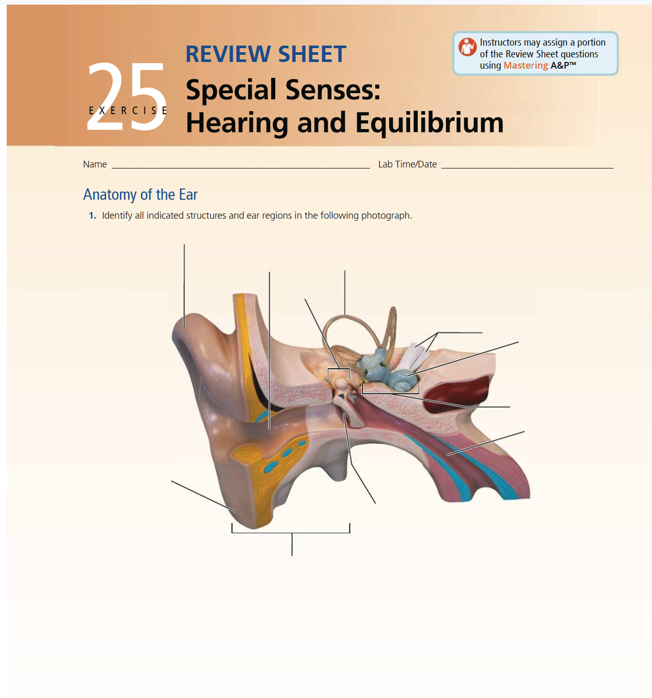 Solved REVIEW SHEETInstructors may assign a portion of the | Chegg.com