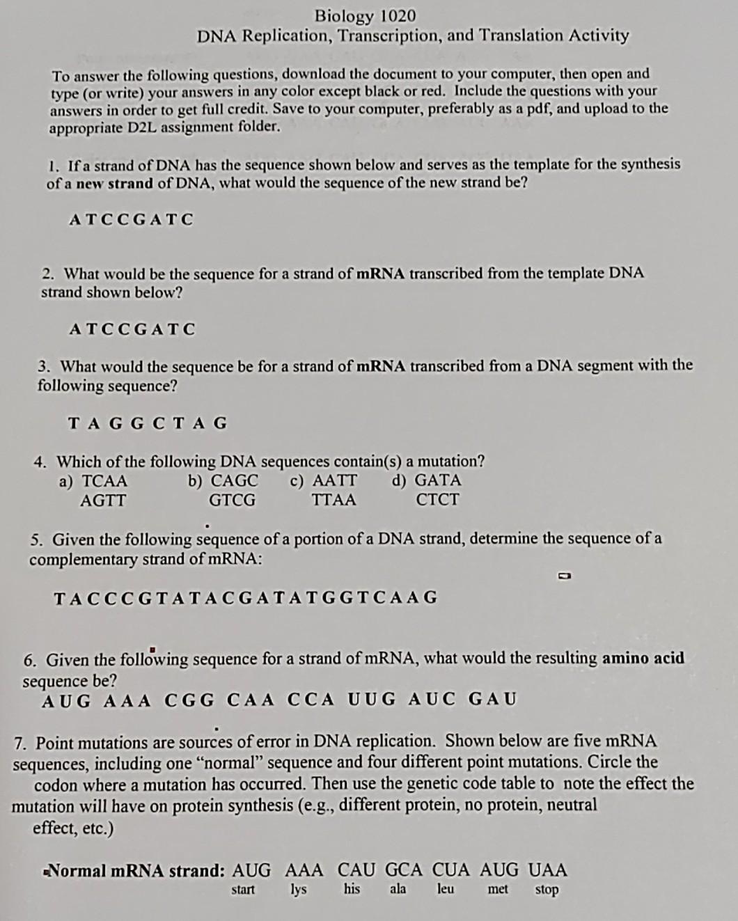 Solved Biology 1020 DNA Replication, Transcription, and | Chegg.com