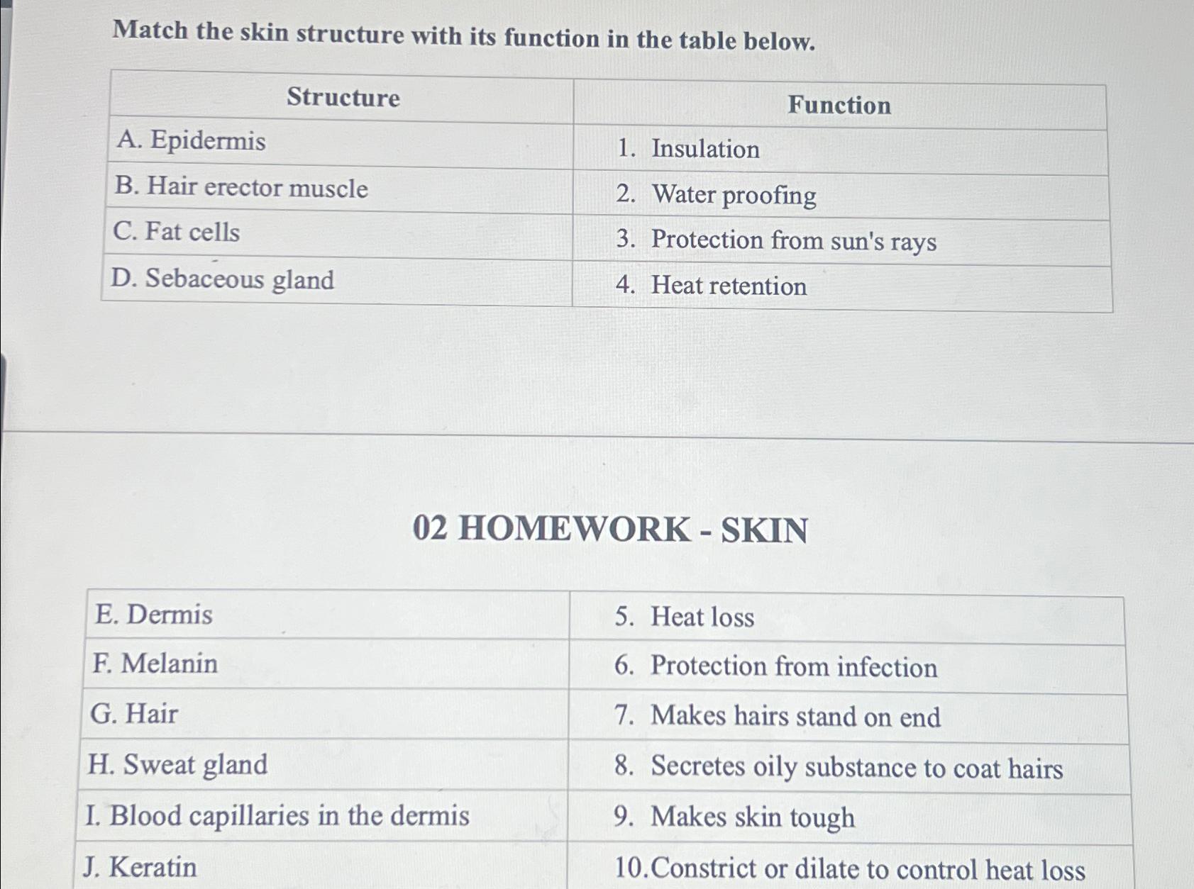 Solved Match the skin structure with its function in the | Chegg.com