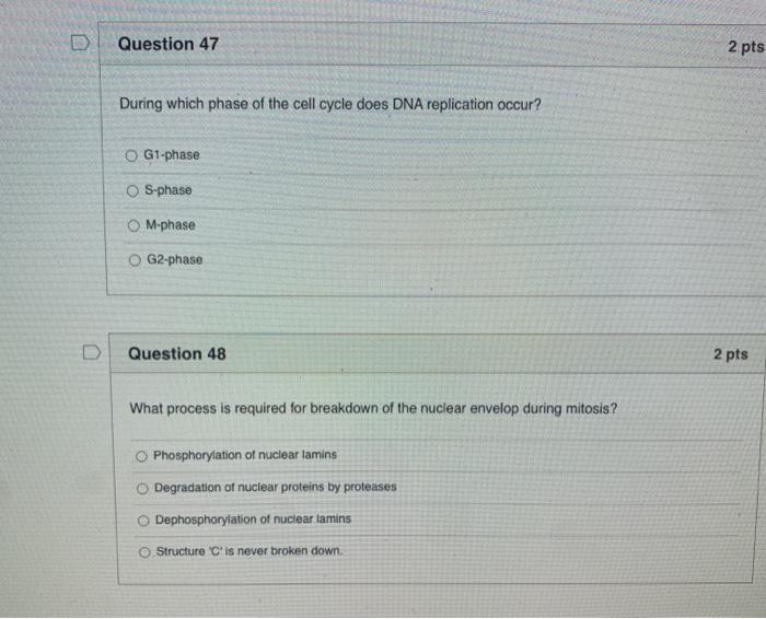Solved Question 47 2 pts During which phase of the cell | Chegg.com