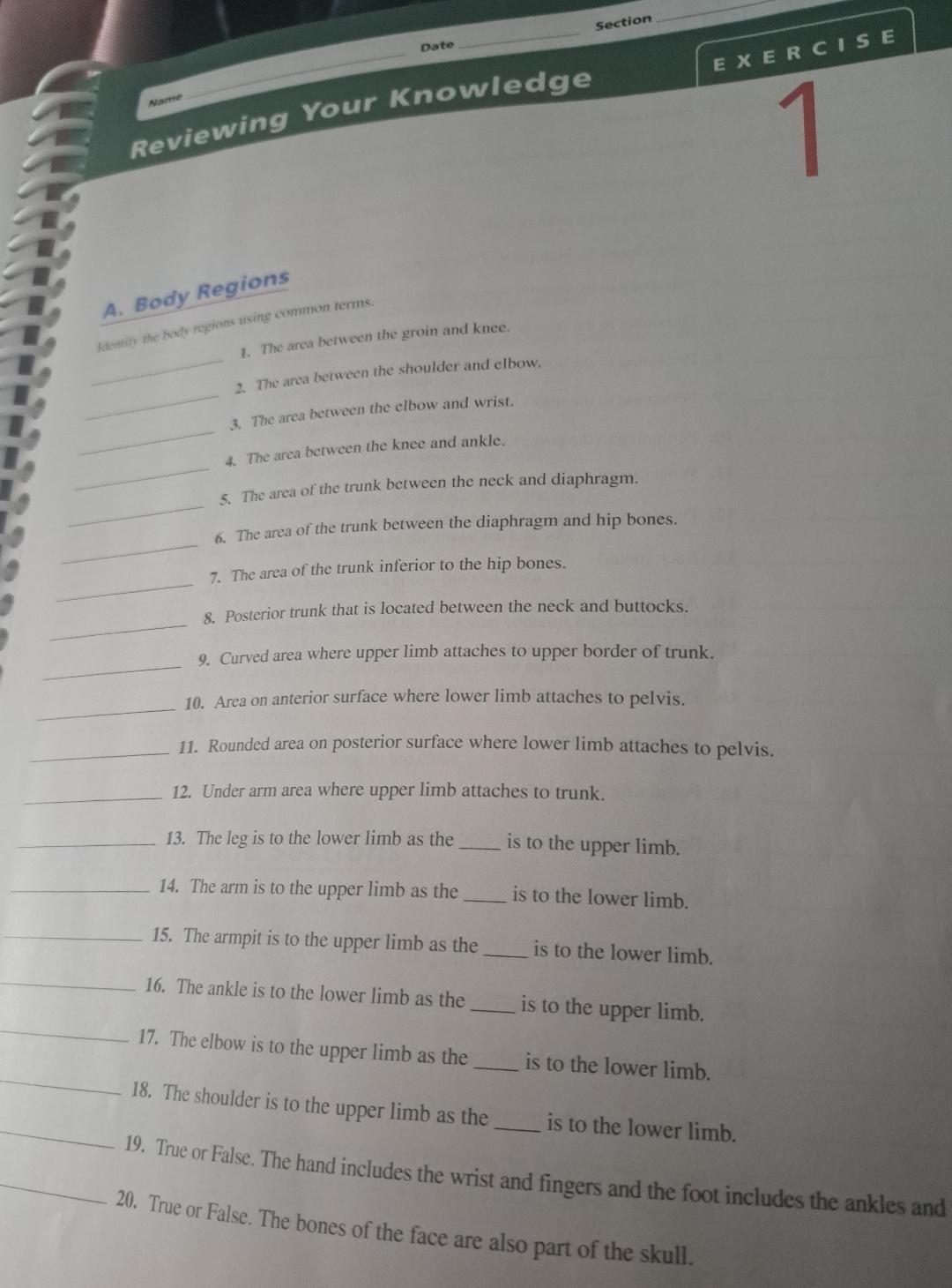 Solved Reviewing Your KnowledgeA. ﻿Body RegionsIdintilit the | Chegg.com