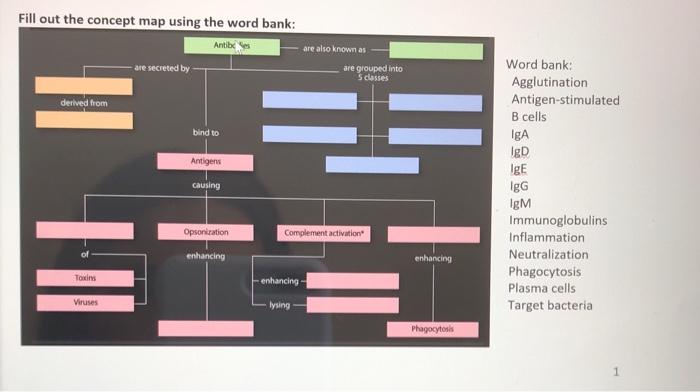 Solved Fill out the concept map using the word bank: Antibes | Chegg.com