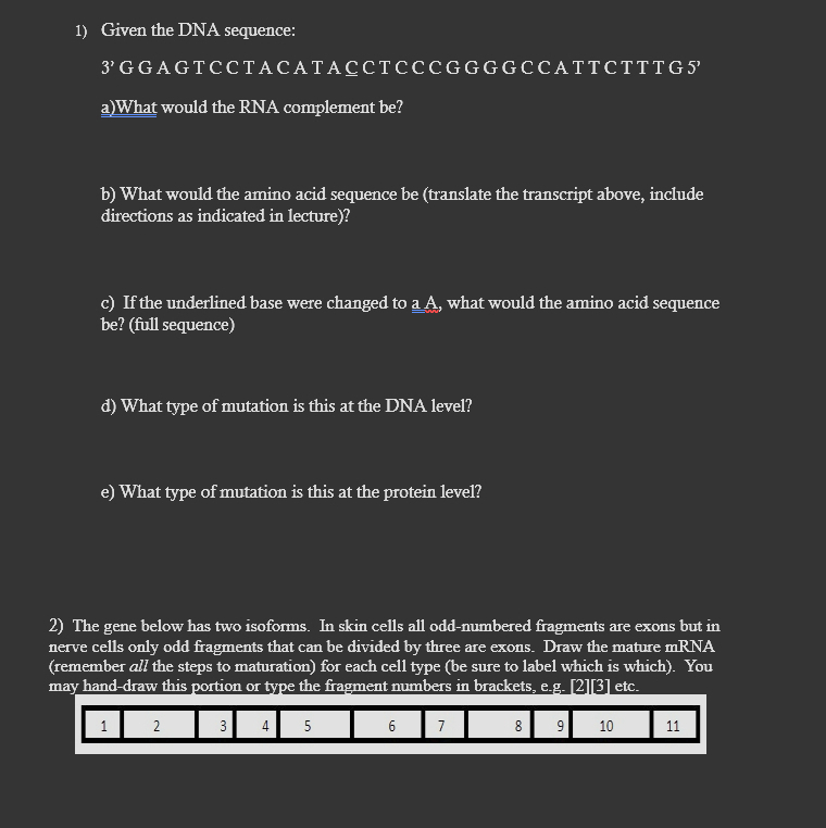 Given the DNA sequence:3' ﻿GGAGTCCTACATA C | Chegg.com