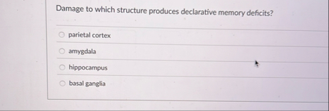 Solved Damage to which structure produces declarative memory | Chegg.com