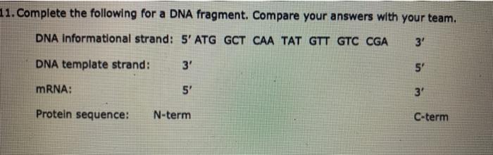 Solved 11. Complete the following for a DNA fragment. | Chegg.com