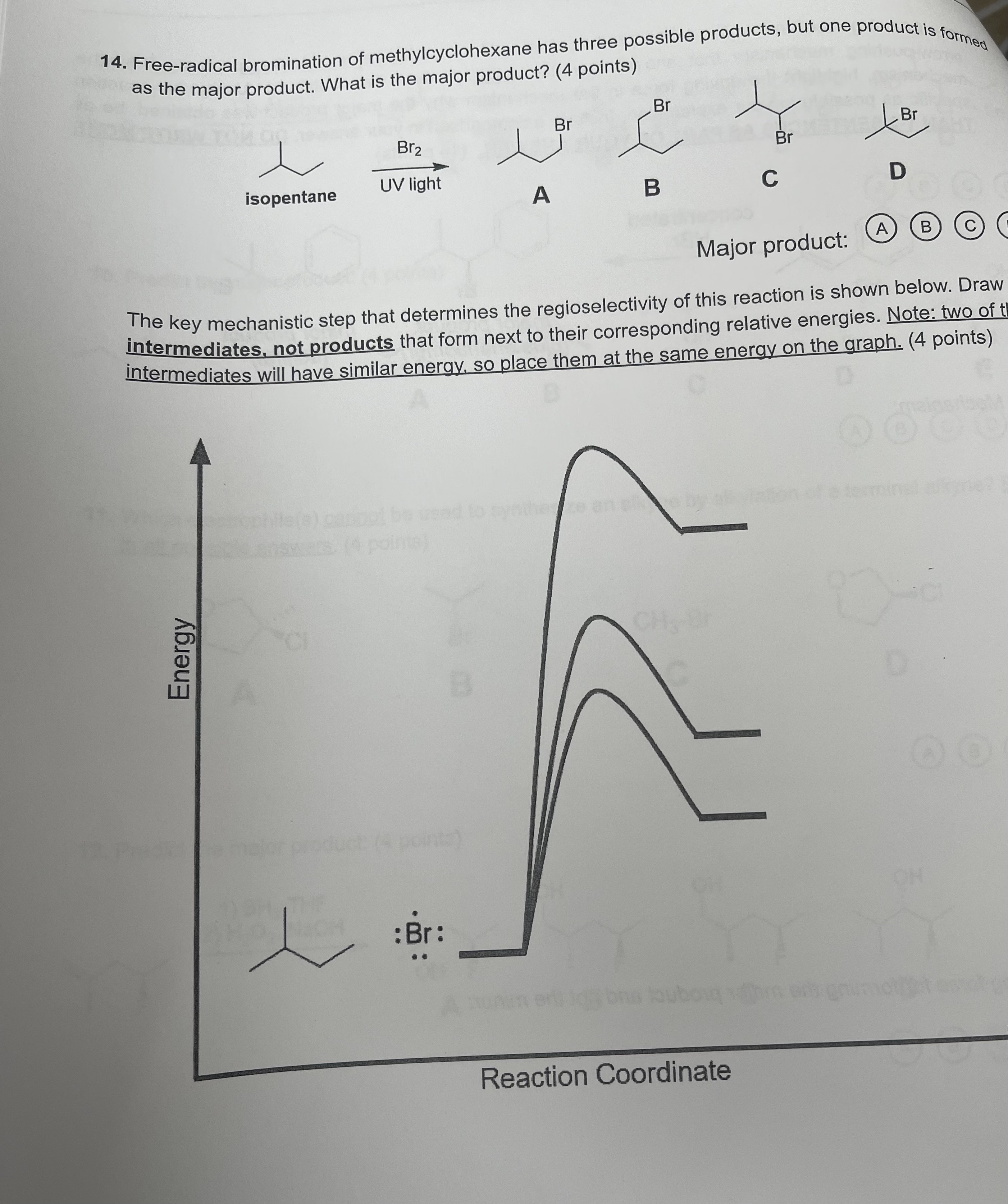 Solved Free-radical bromination of methylcyclohexane has | Chegg.com
