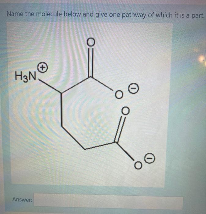 Solved Name the molecule below and give one pathway of which | Chegg.com