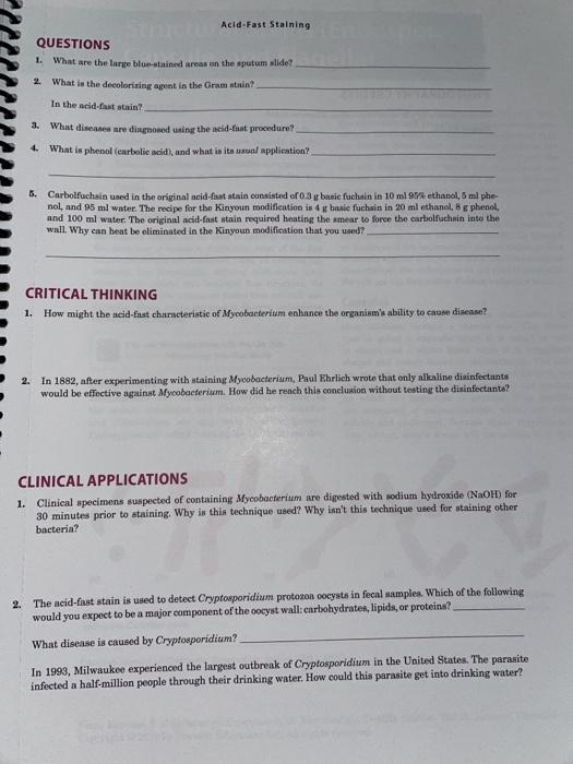Solved Date: Lab Section LABORATORY REPORT Acid-Fast | Chegg.com
