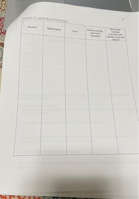 Solved 17 Activity 2: Determine Right and Left Bones for the | Chegg.com