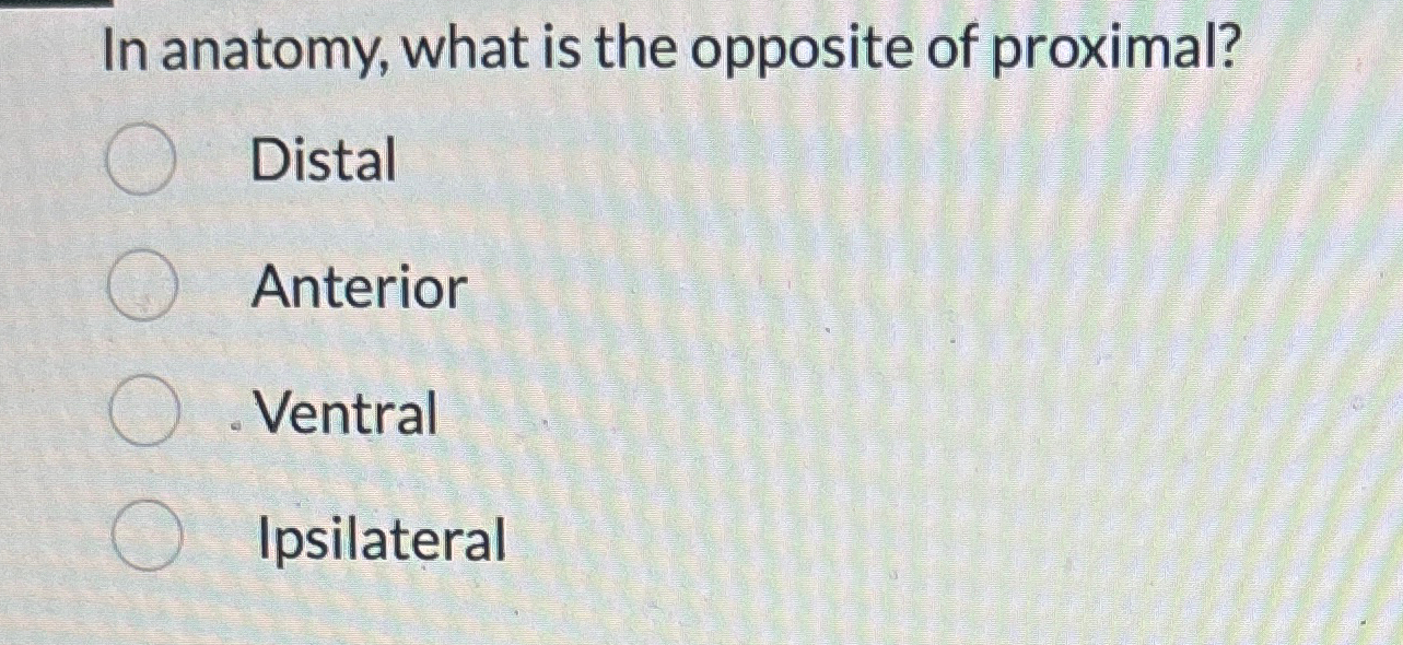 Solved In anatomy, what is the opposite of | Chegg.com