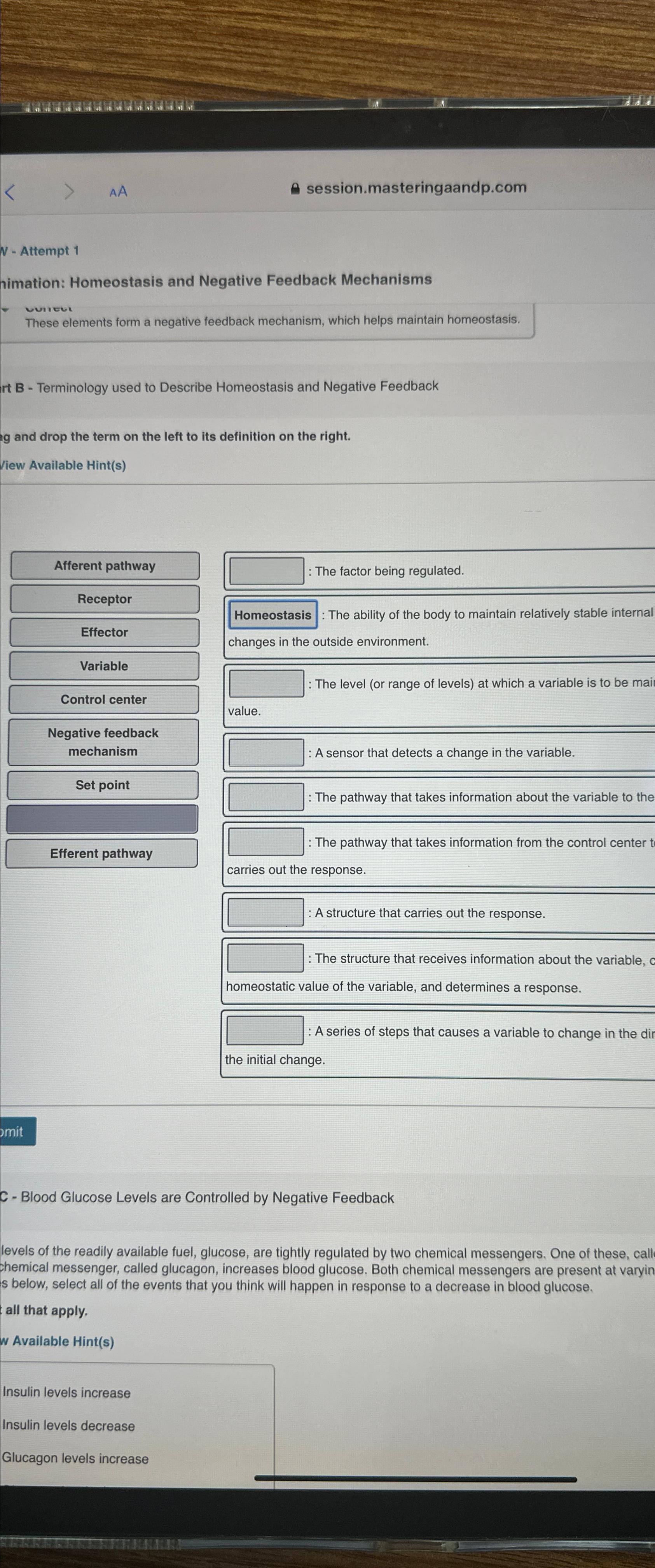 Solved N - ﻿Attempt 1himation: Homeostasis and Negative | Chegg.com