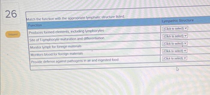 Solved 26 Match the function with the appropriate lymphatic | Chegg.com