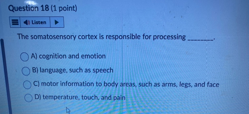 Solved Question 18 (1 ﻿point)The somatosensory cortex is | Chegg.com