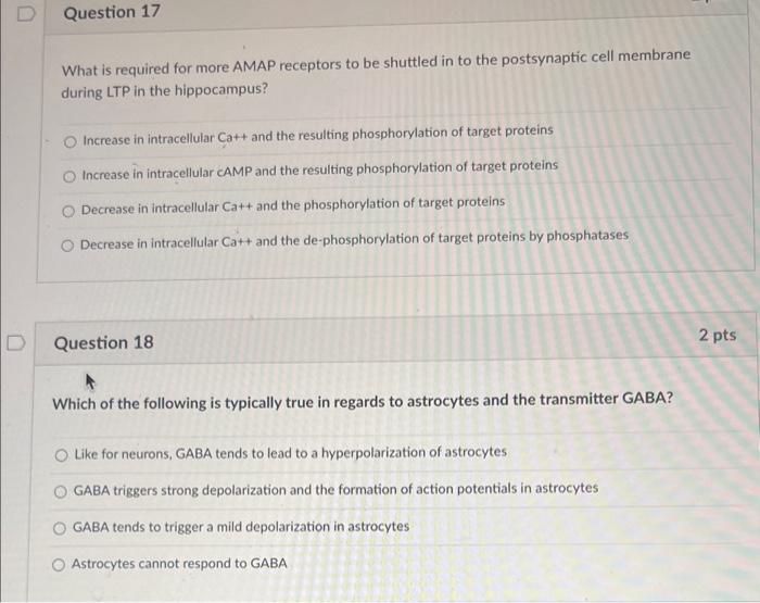 Solved What is required for more AMAP receptors to be | Chegg.com