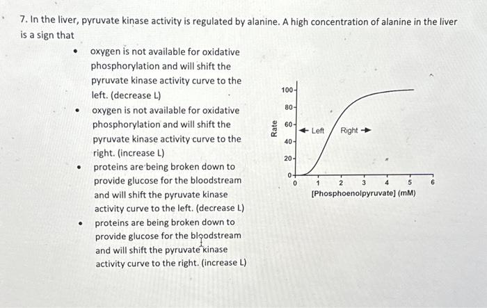 Solved 7. In the liver, pyruvate kinase activity is | Chegg.com