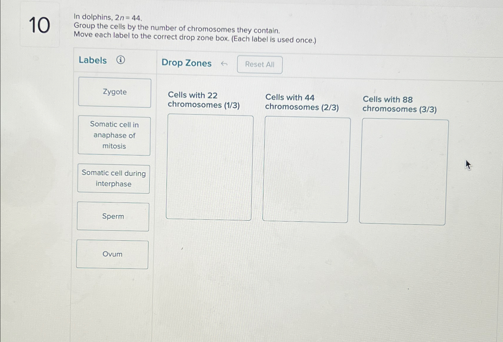 Solved 10In dolphins, 2n=44.Group the cells by the number of | Chegg.com