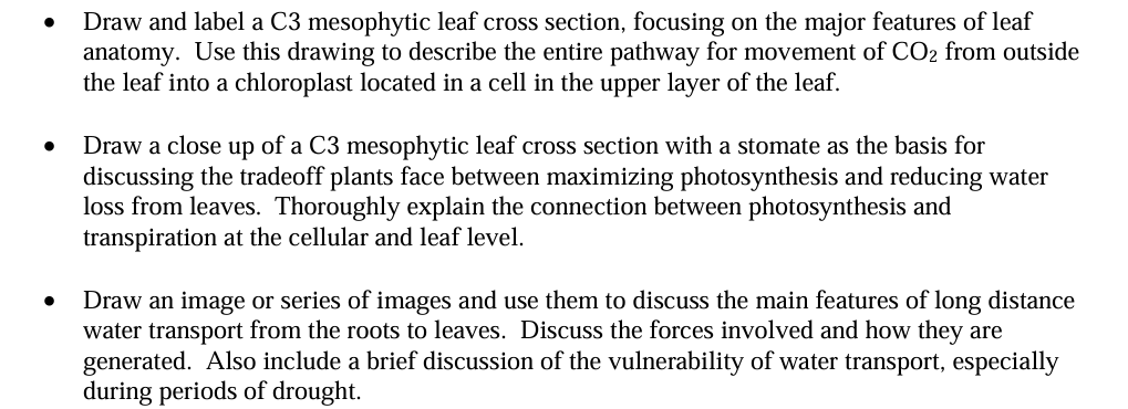 Draw and label a C3 ﻿mesophytic leaf cross section, | Chegg.com