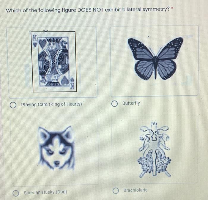 Solved Which of the following figure DOES NOT exhibit | Chegg.com