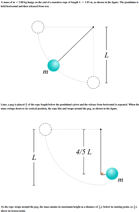 Solved A mass of m=5.00kg hangs on the end of a massless | Chegg.com