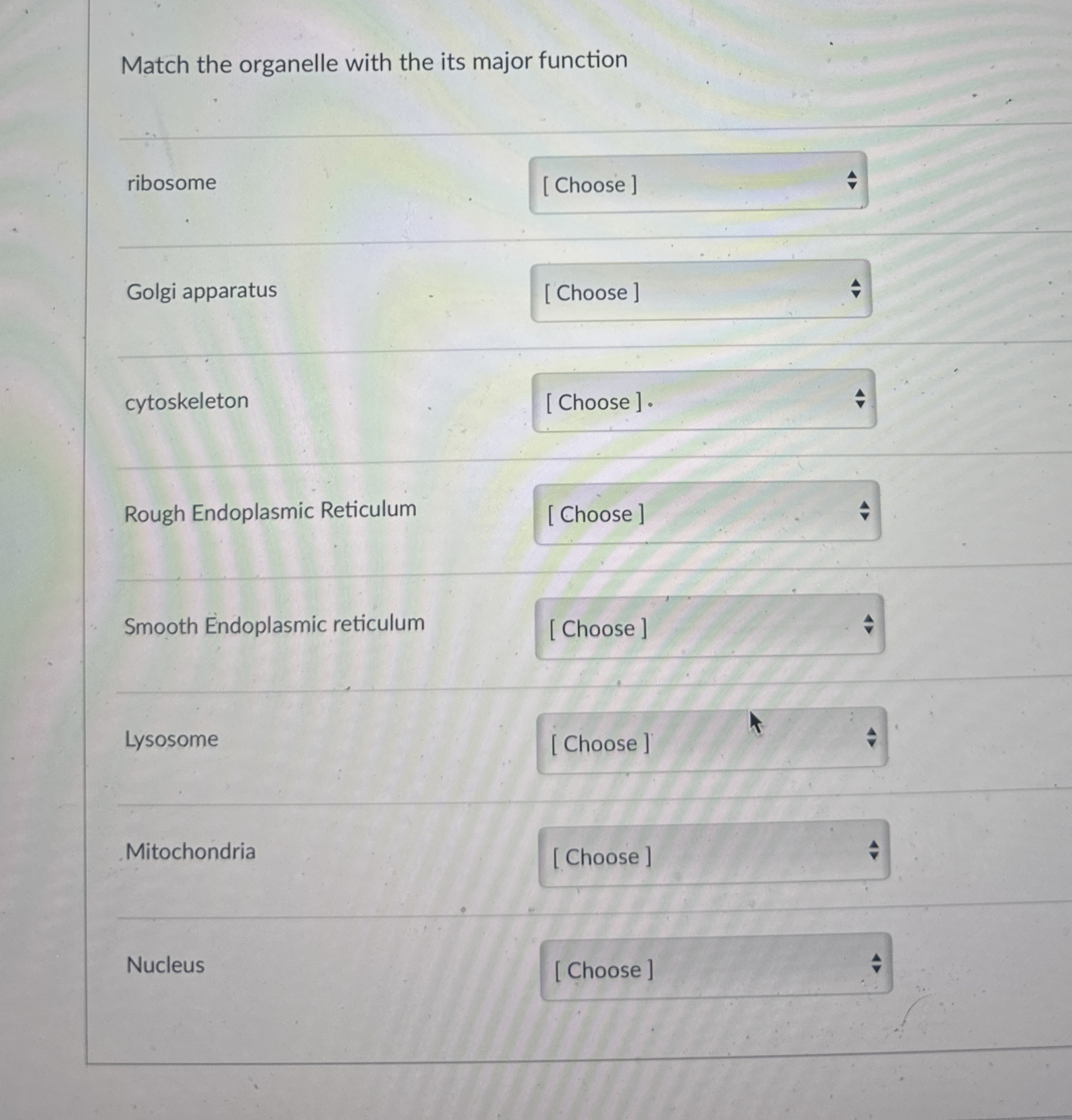 Solved Match the organelle with the its major | Chegg.com