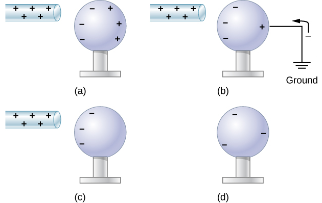 Solved What is happening in these images? First Imagine | Chegg.com